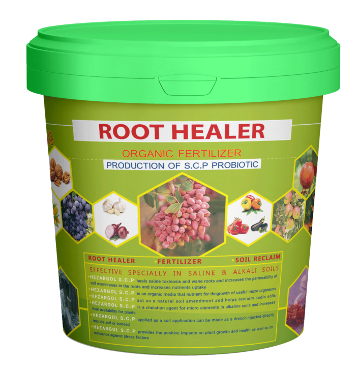 ROOT HEALER – سپهر اورنگ